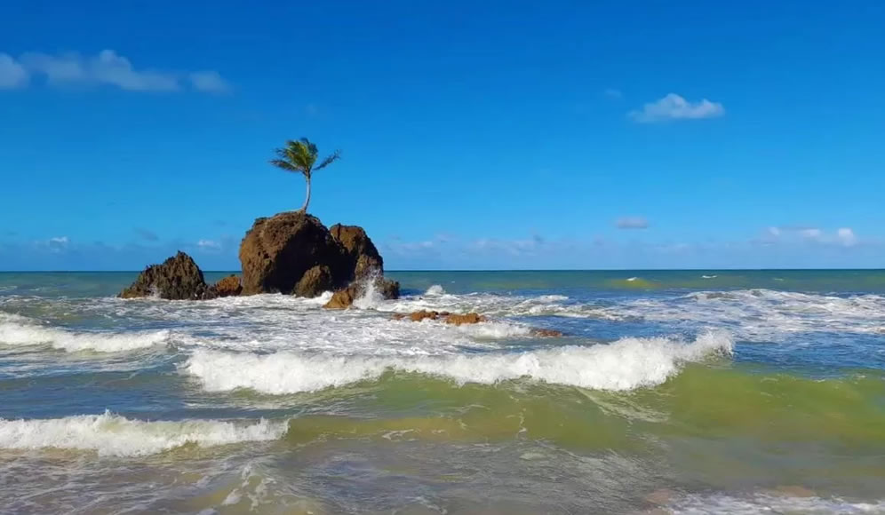 Quais são as regras para entrar na praia de Tambaba?